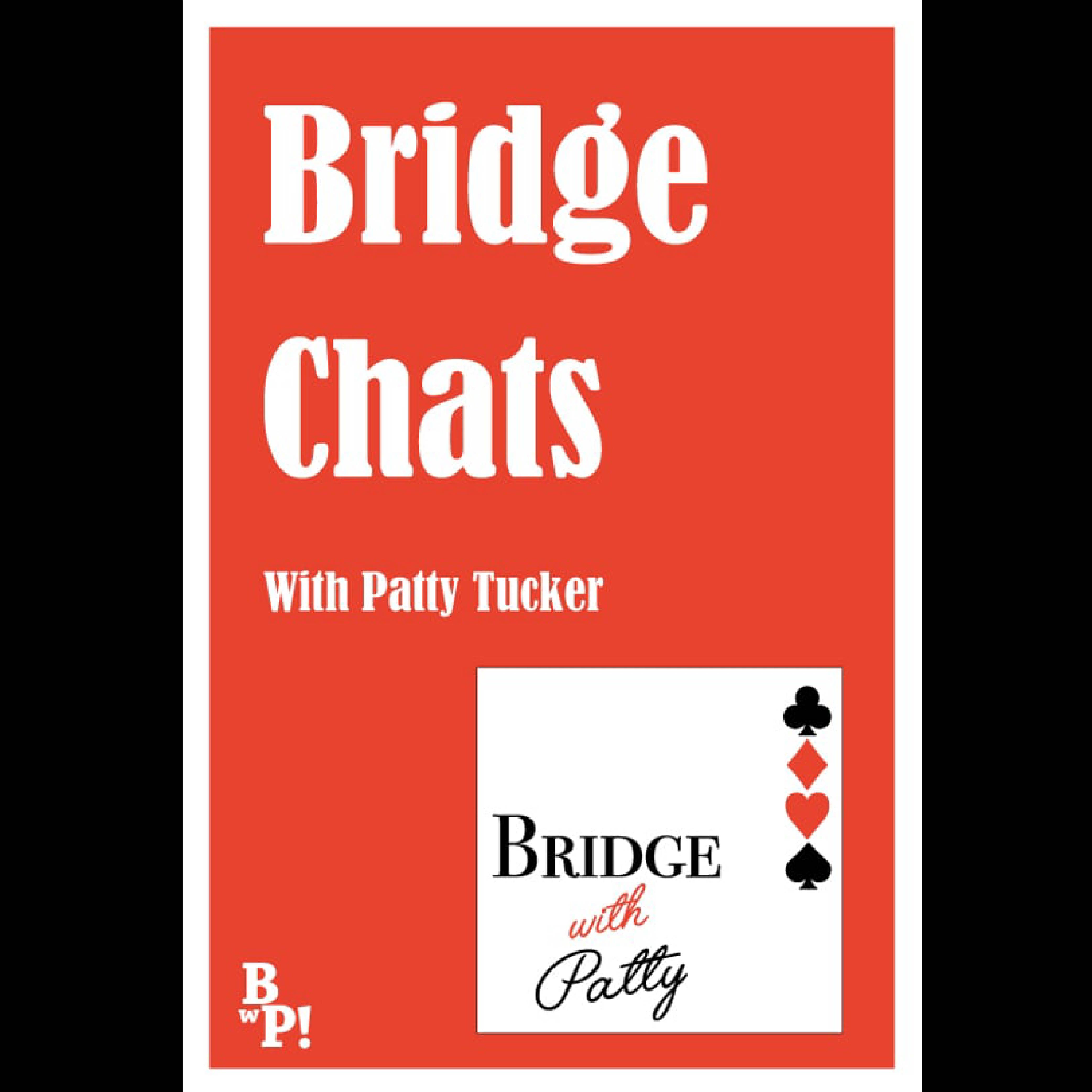 Bridge Chat on Vimeo - Bridge With Patty